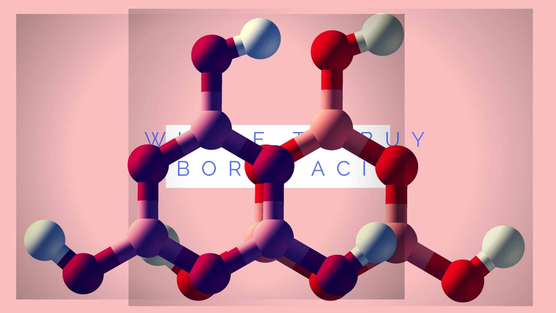 Where To Buy Boric Acid Roachexpert