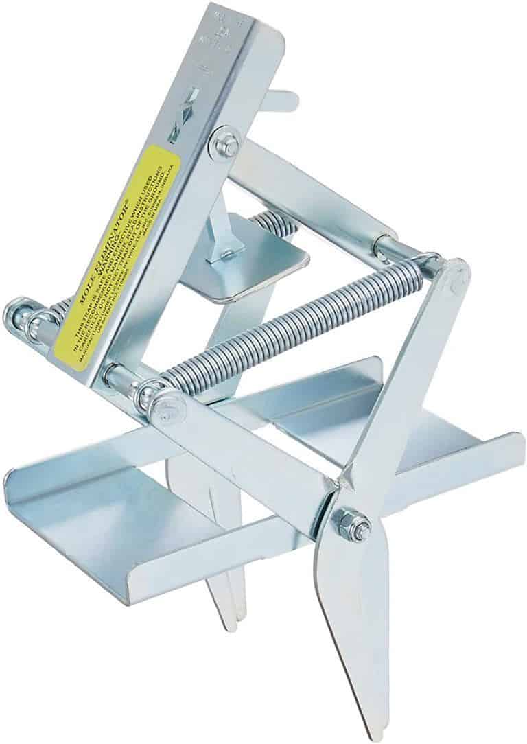 Best Mole Repellent – Reviews and Buying Guideline 2020